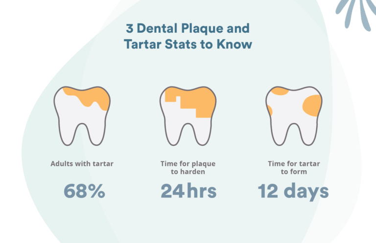 Tartar: Everything you need to know about how buildup affects your oral ...